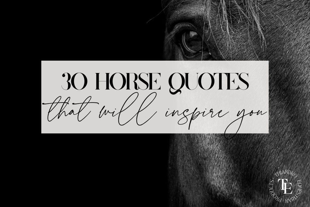 30 Inspirational Horse Quotes That Will Inspire You and Make You Think ...