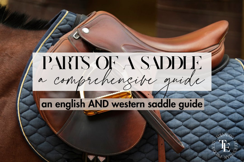 Understanding Saddle Parts: A Comprehensive Guide for Equestrians ...